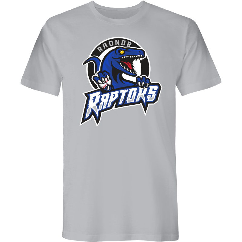 Radnor Raptors Premium Gray Tee - Gutsy Athletic